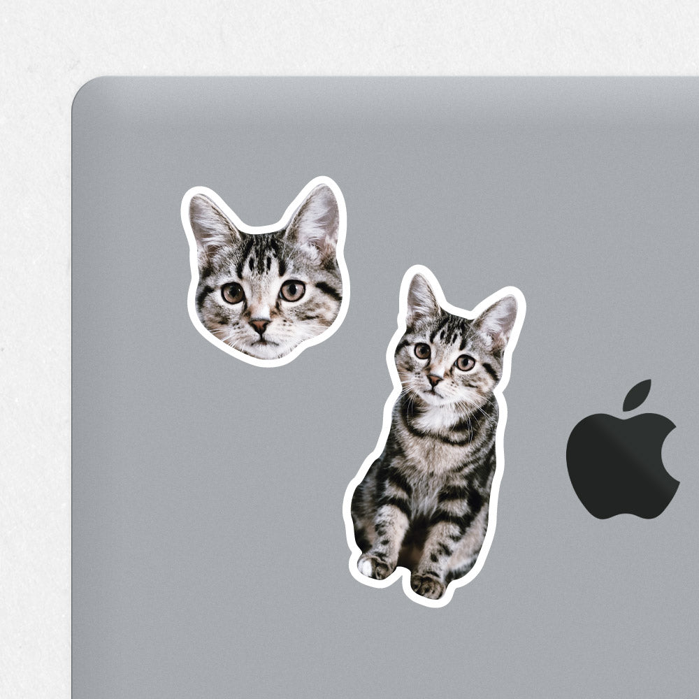 Custom Cat Sticker | Unique Printed Sticker for Cats – Peeler Stickers